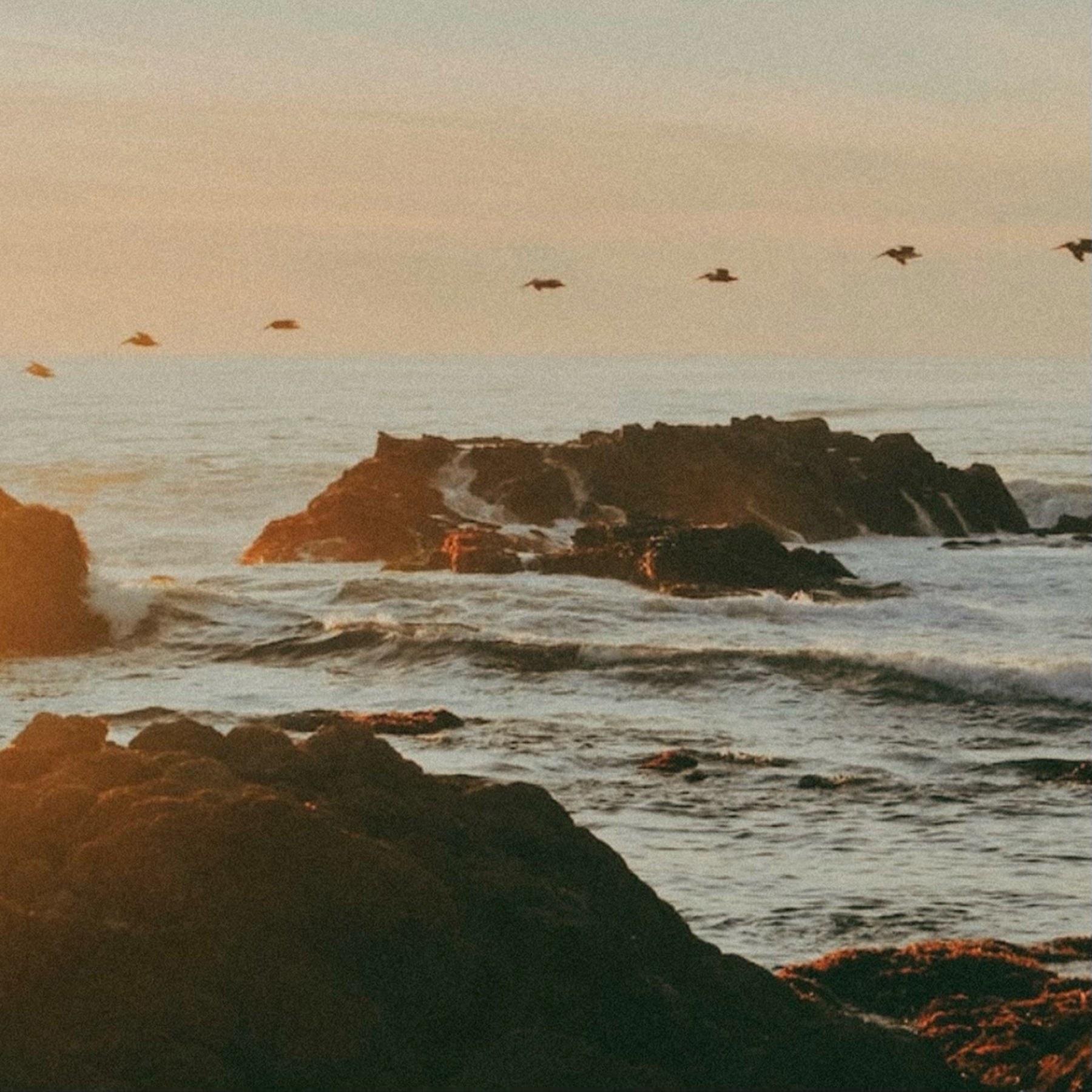 Sandstone Goods – Sandstone Goods + Trading